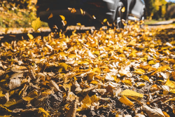 1st Central Insurance | Car Insurance Quotes